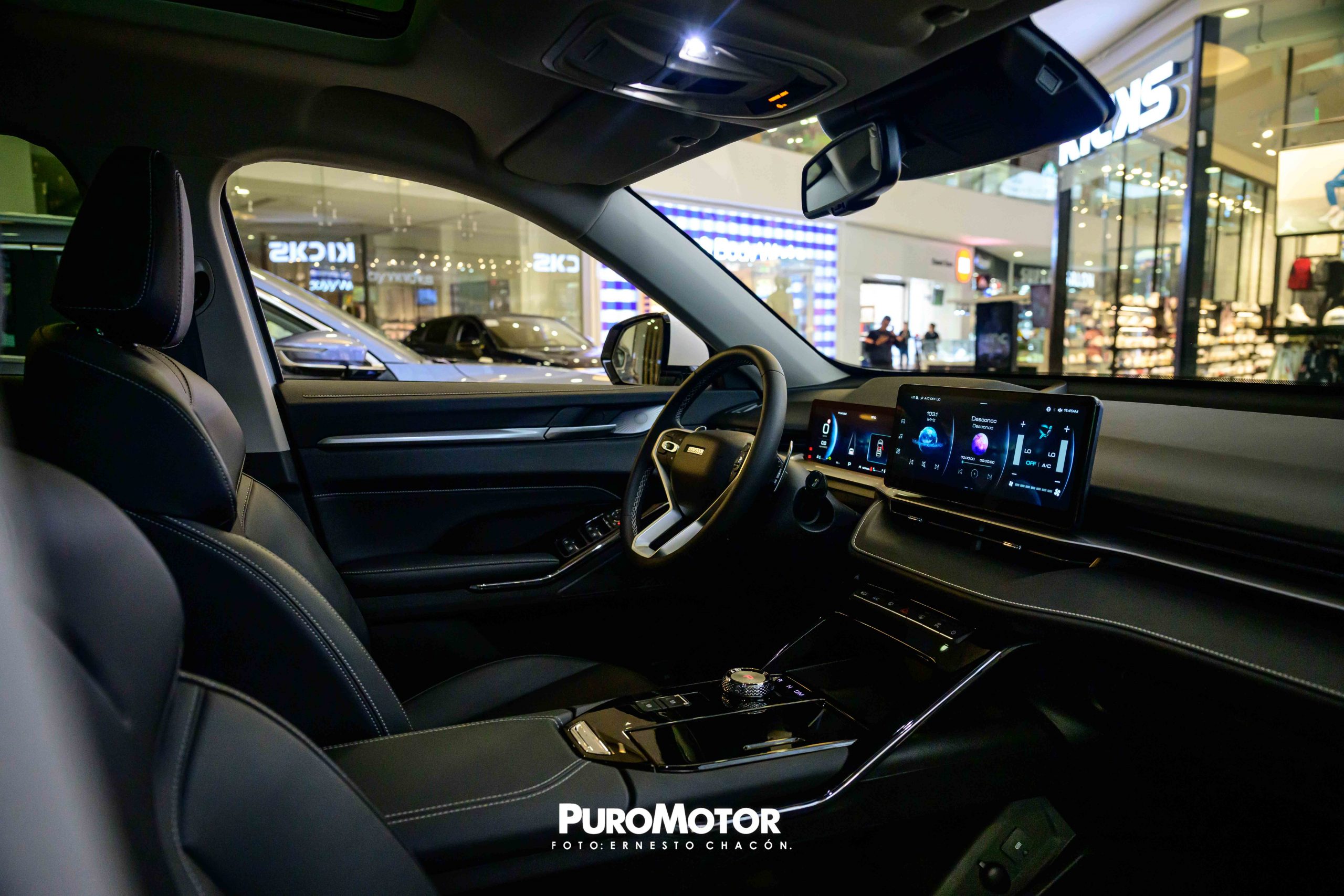 ECH_0265 - Puro Motor