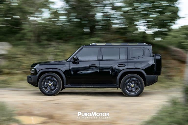 ECH_5194 - Puro Motor