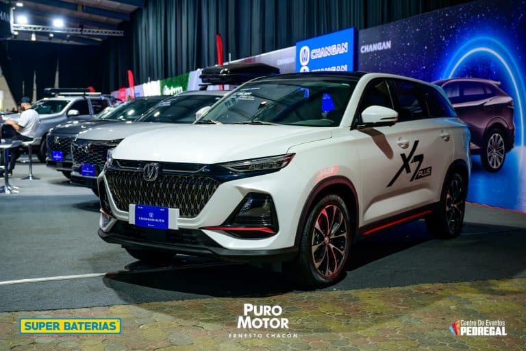 ECH_7418 - Puro Motor